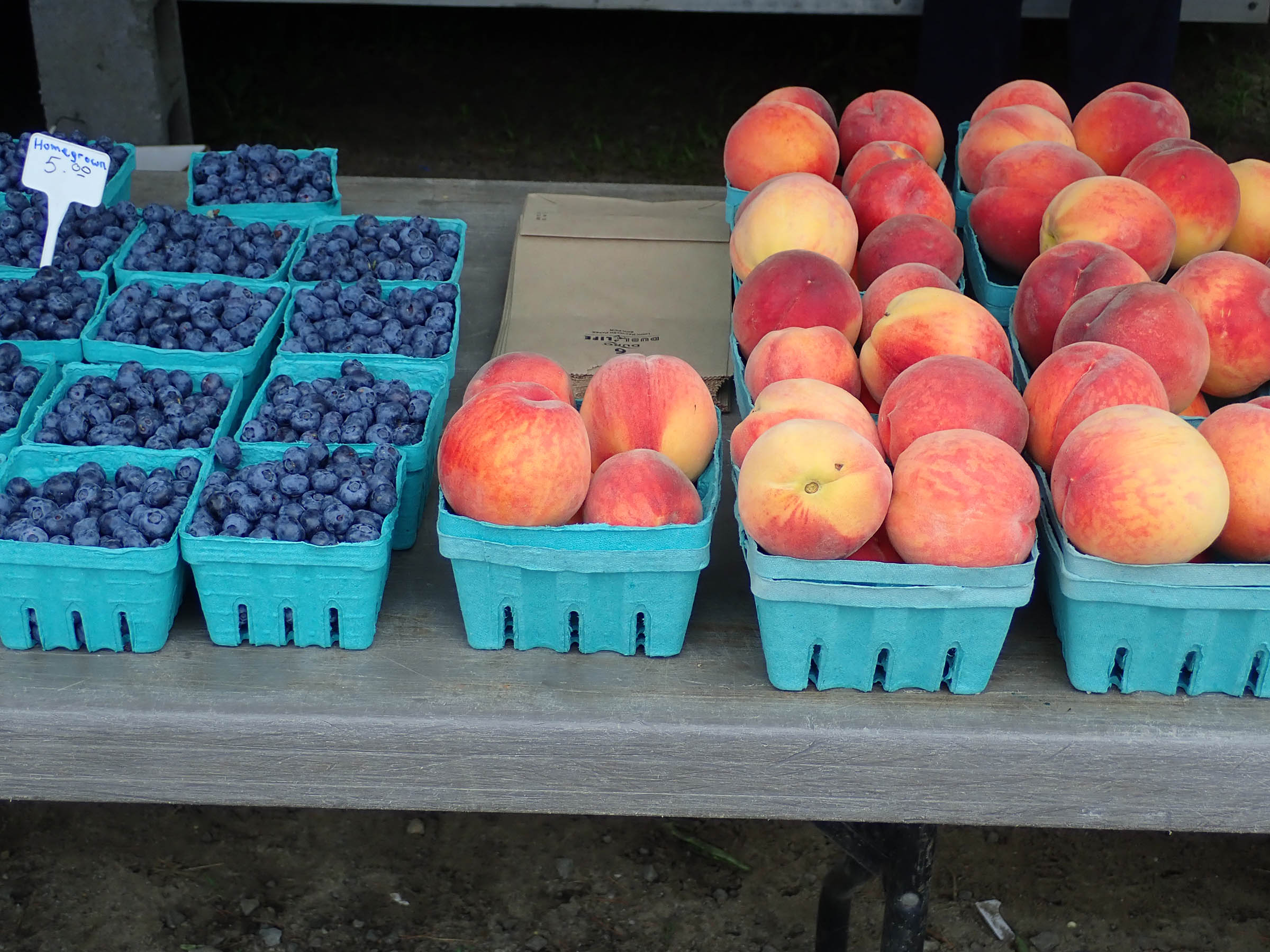A fruitful summer | News, Sports, Jobs - Adirondack Daily Enterprise